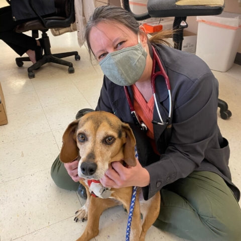 About Mountain Lake Family Vet | Vet in Monument, CO 80132